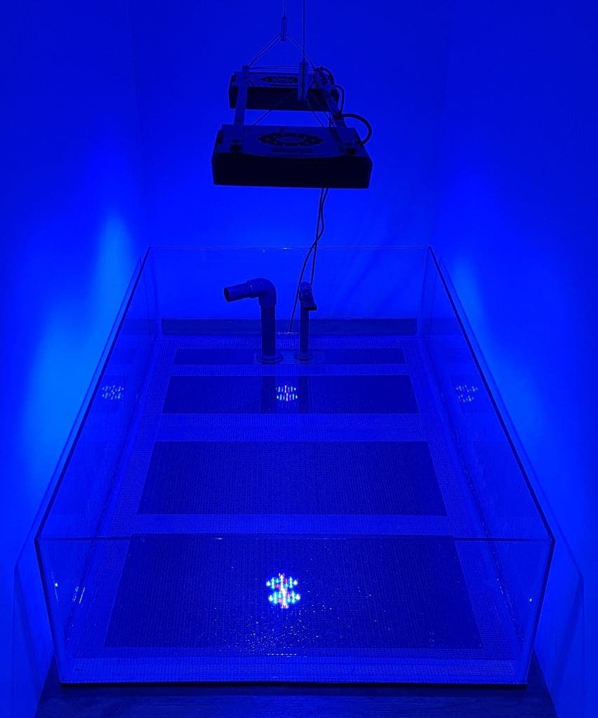 Frag Tank Basics: Plumbing, Drilling and Sump Requirement